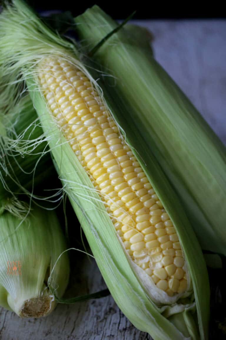 Corn On The Cob On The Grill - One Hot Oven®