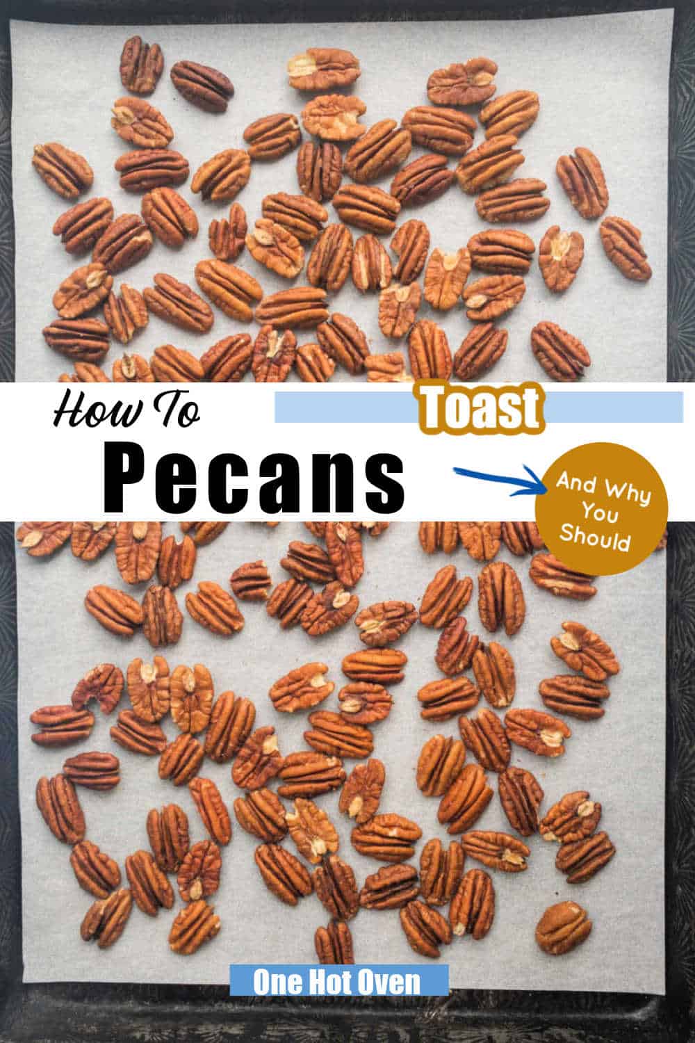 Mastering The Technique Of Toasting Pecans - One Hot Oven®