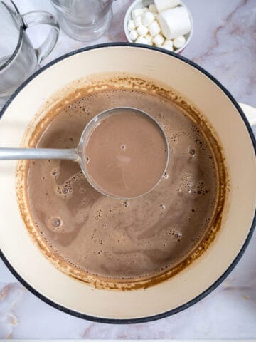 Hot Chocolate with Marshmallows - One Hot Oven®