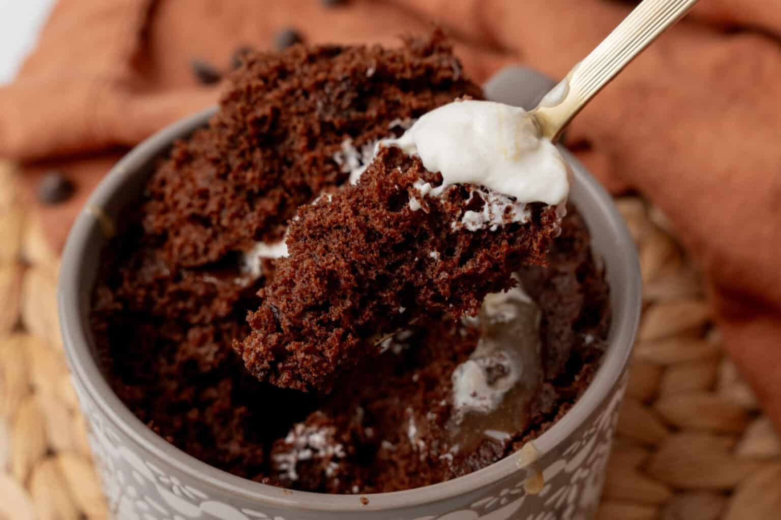 Microwave Chocolate Mug Cake - One Hot Oven®